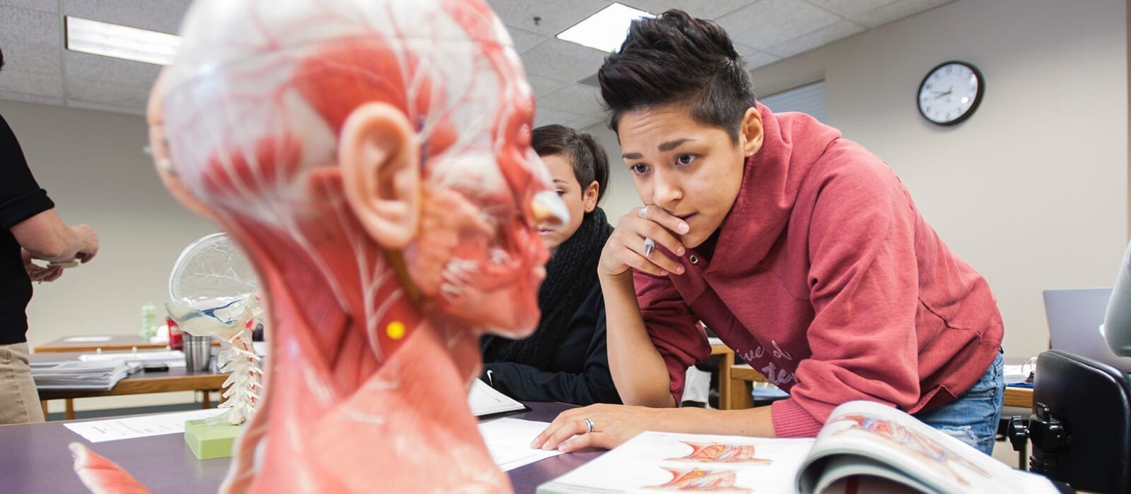 Academic Programs for Integrative Health | NWHSU