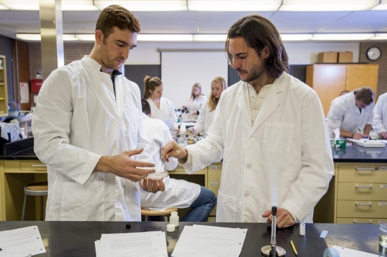 How to become a medical laboratory scientist | MLS Career