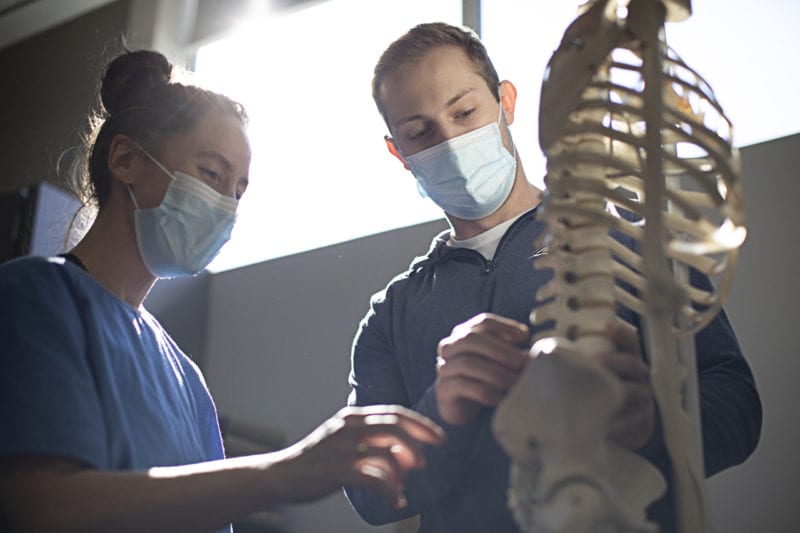 How to Become a Chiropractor | Chiropractic School Guide