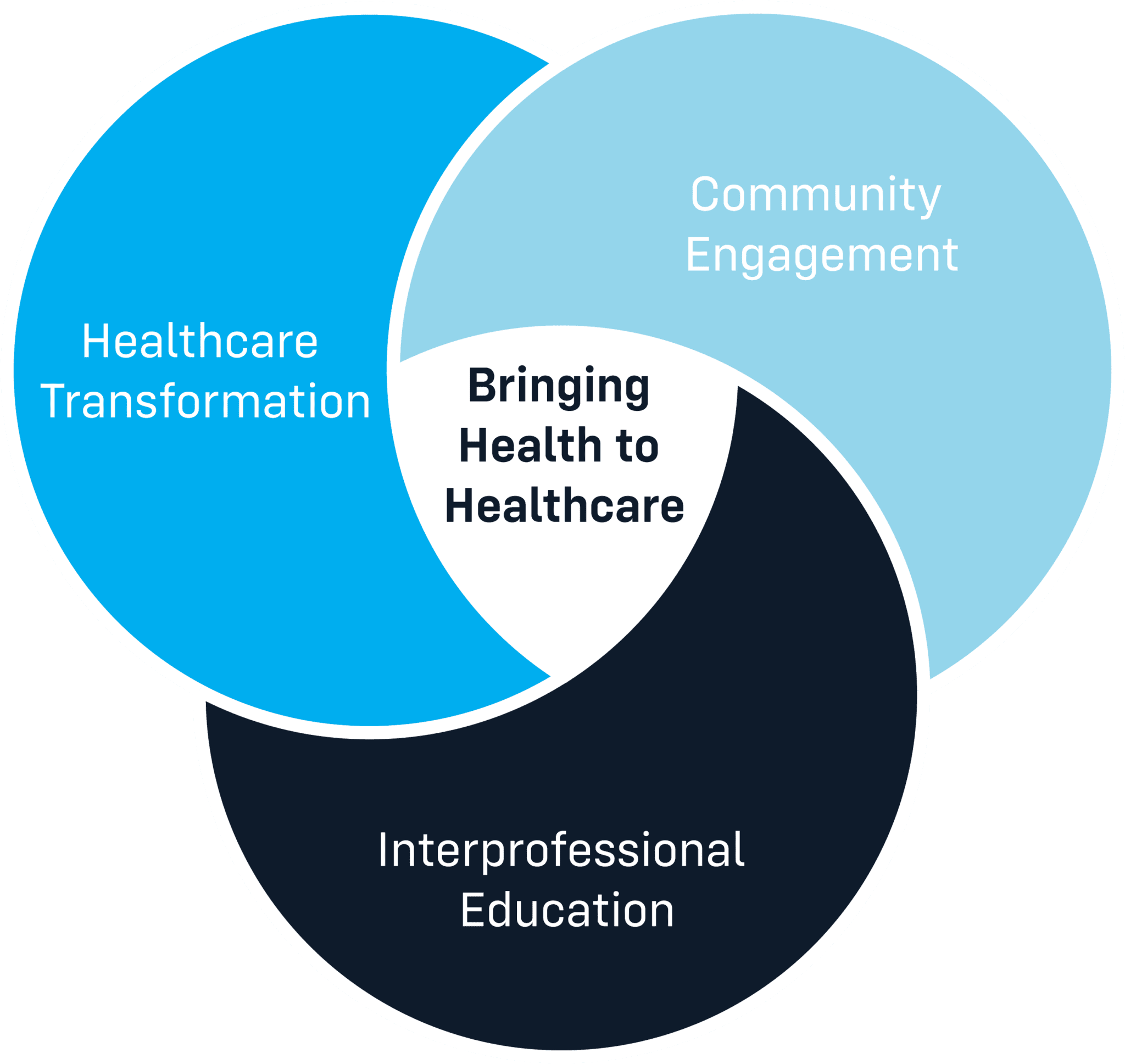 Integrative Care | Northwestern Health Sciences University