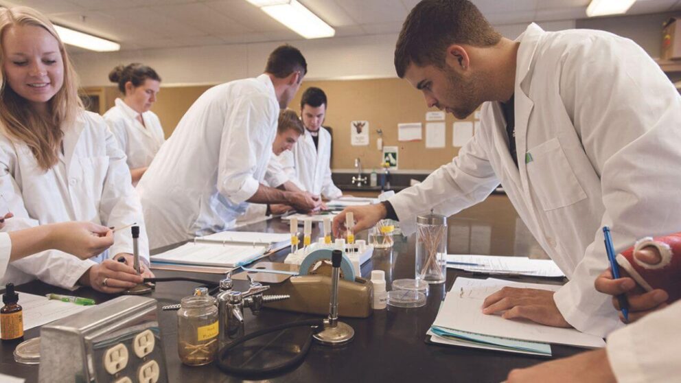 Discover the difference between pre-health and pre-med programs