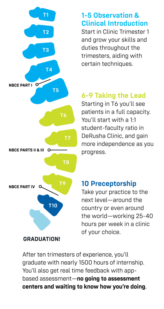 Doctor of Chiropractic | The Leader in Chiropractic Education