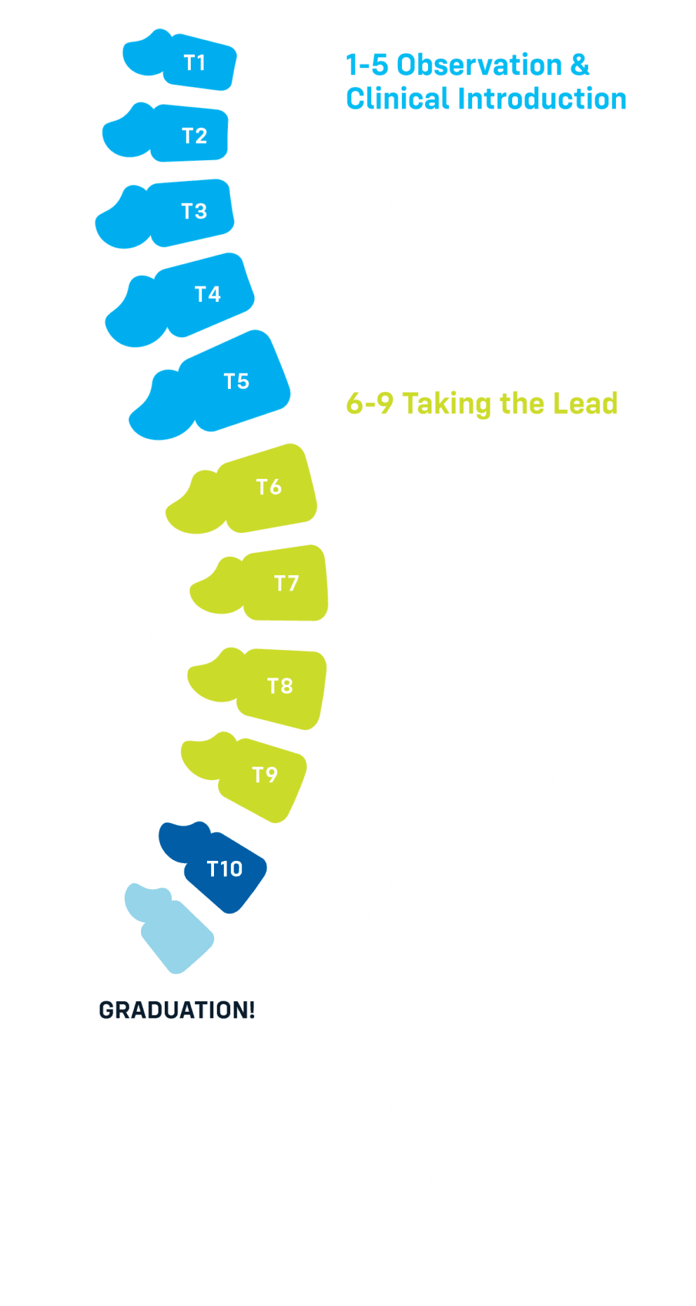 Doctor of Chiropractic Curriculum Overview | NWHSU